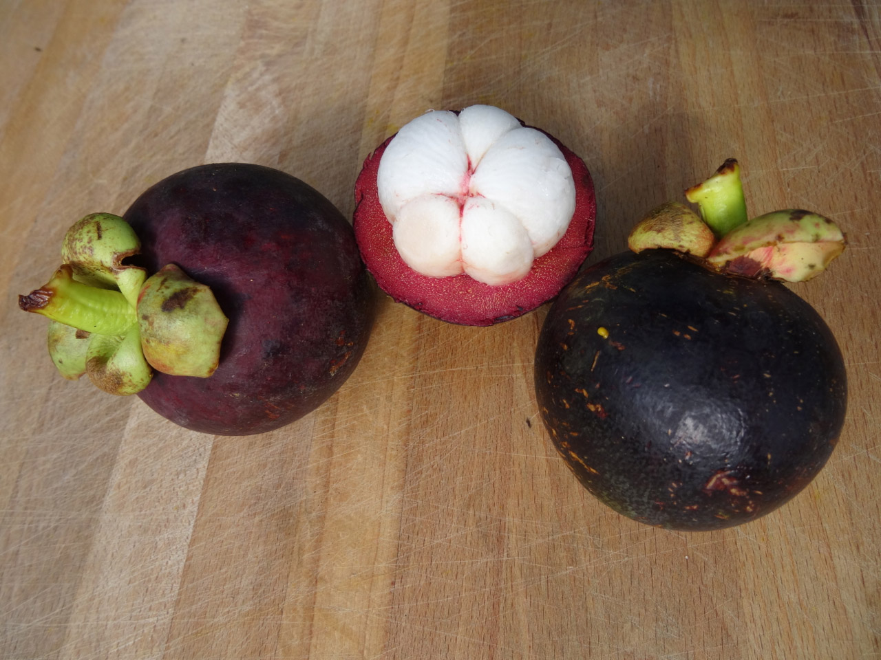 LATITUDE FRUITIERE, Pépinière de fruitiers rares, Alé di partou ...