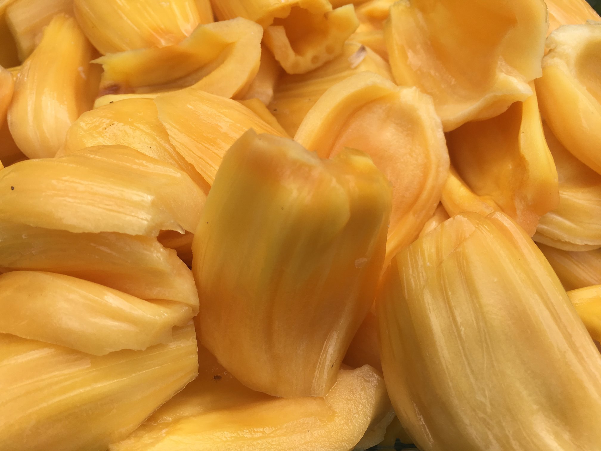 LATITUDE FRUITIERE, Pépinière de fruitiers rares, Le jacque à la ...